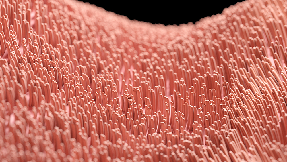 Not So Simple Cilia The Institute For Creation Research 6635